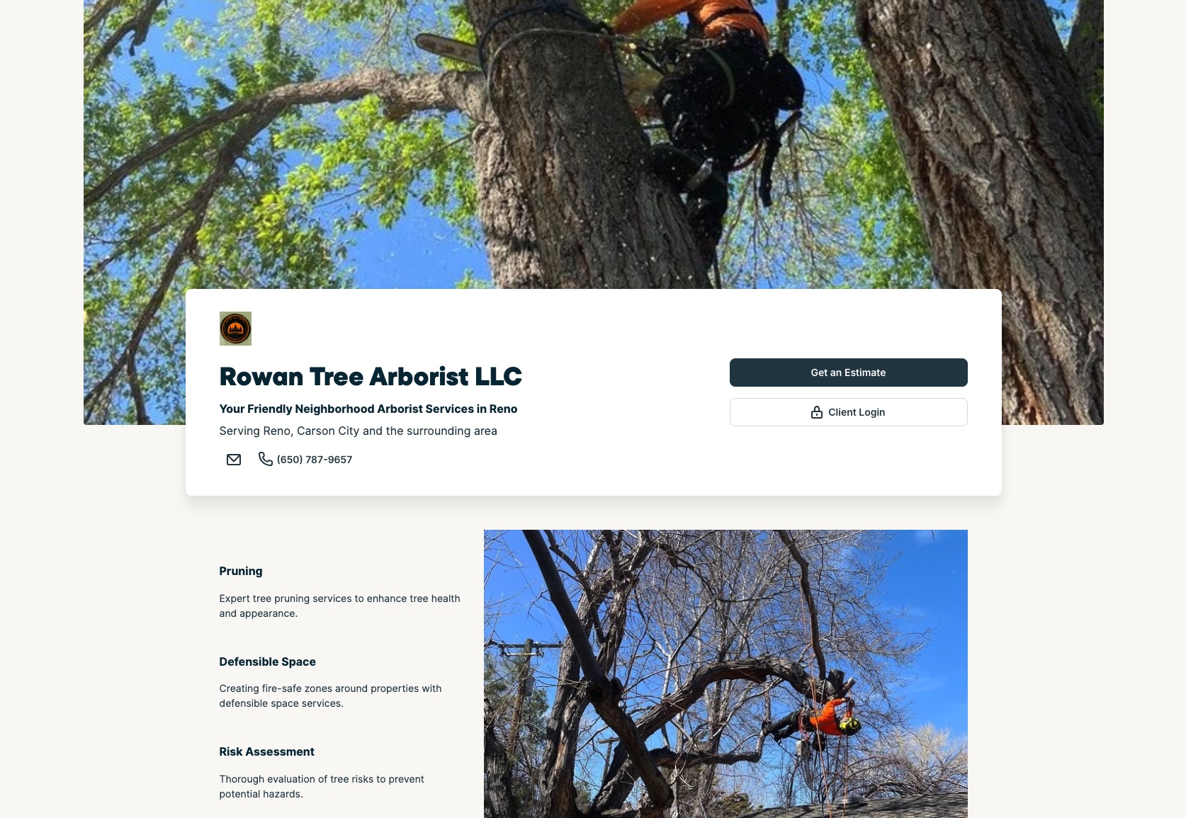 14 Tree Service Website Design Examples and Ideas