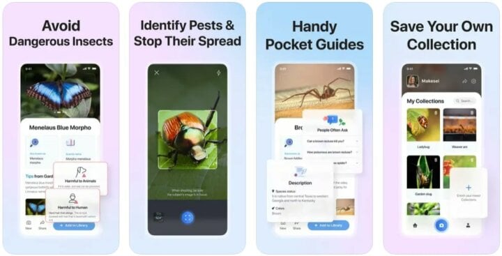 Top 13 Pest Control Apps for Pest ID, Scheduling, and More