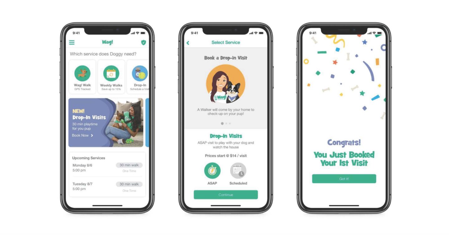 7 Best Dog Walking Apps to Streamline Your Business